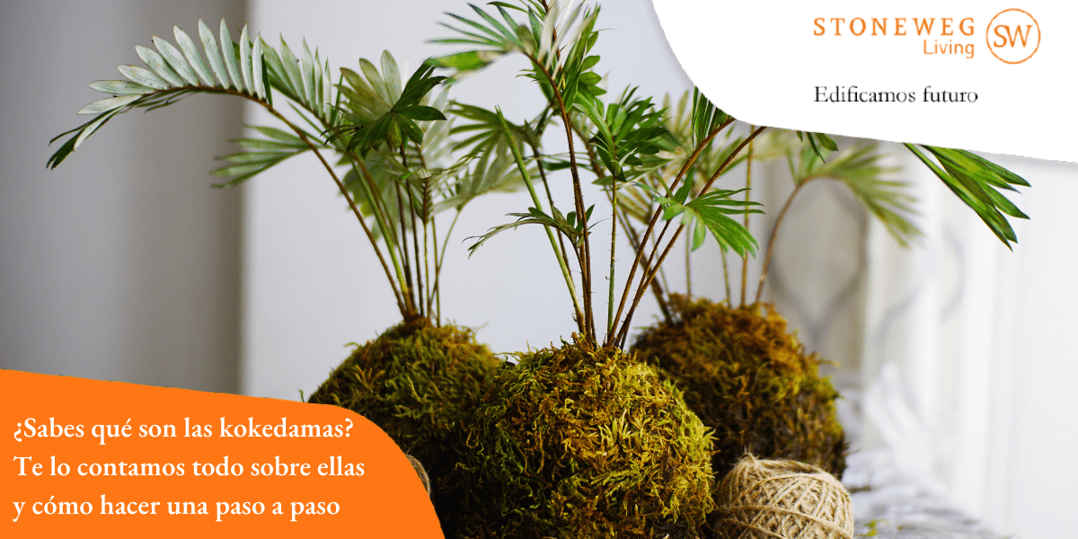 Qué es y Cómo hacer un Kokedama | Paso a paso