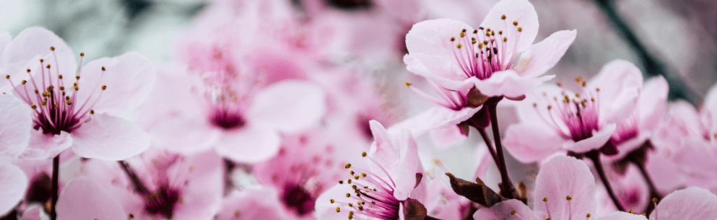 Consejos para preparar tu casa para la primavera 2023