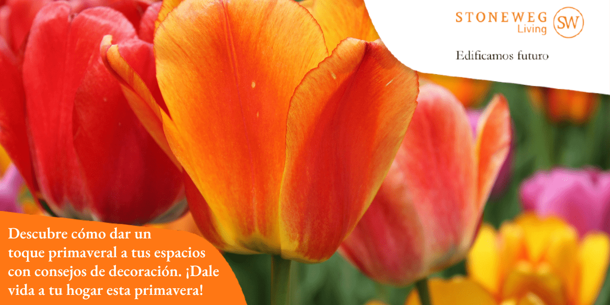 5 Ideas de decoración primaveral: ¡Inspira tu Hogar!